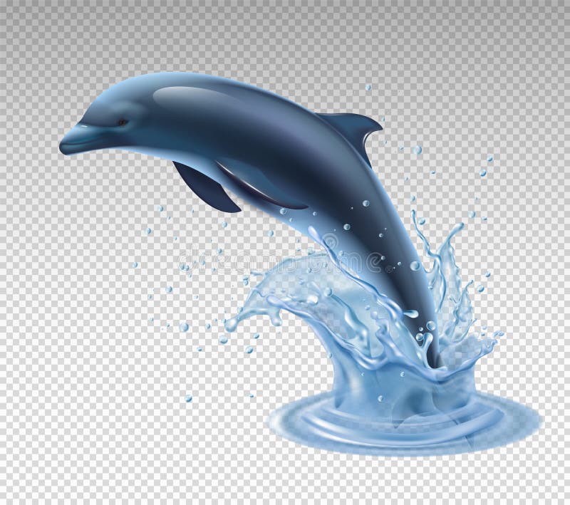 Jumping Dolphin Transparent Realistic Icon Stock Vector - Illustration ...