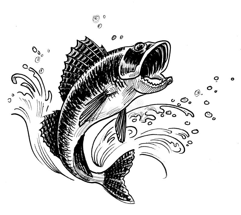 Jumping fish stock illustration. Illustration of jumping - 291454544
