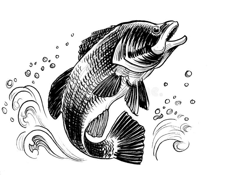Jumping fish. stock illustration. Illustration of water - 260928106