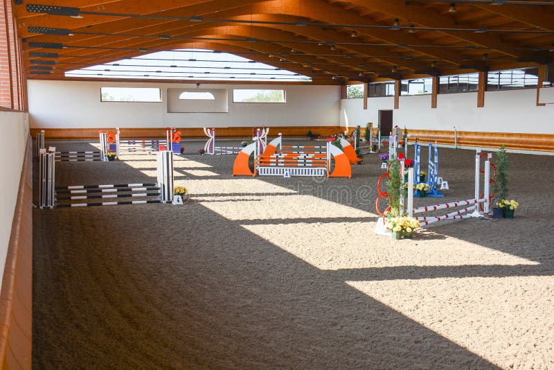 A horse jumping in field stock image. Image of grass - 14292553