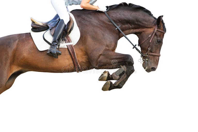 Obstacle Field Stock Illustrations – 937 Obstacle Field Stock ...