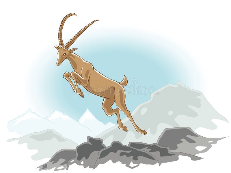 Jumping Ibex stock vector. Illustration of jumping, stone - 25732012