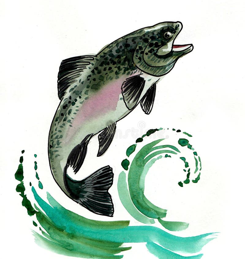 Jumping trout fish stock illustration. Illustration of trout - 363884581