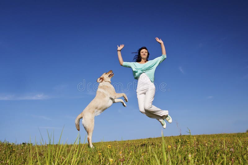 Jumping up stock image. Image of freedom, domestic, active - 25400791
