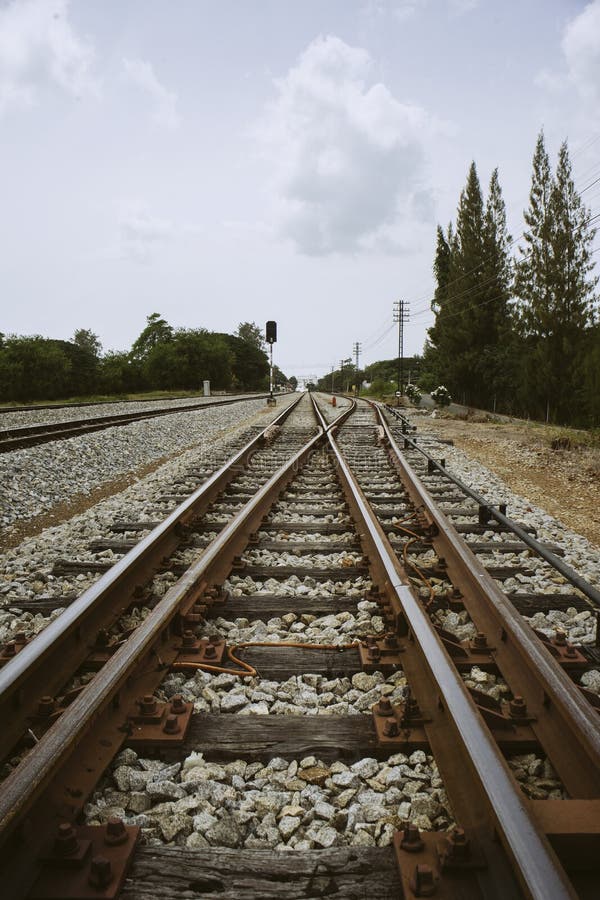 Junction of Railway Track with Green Tree at Left and Right Side of ...