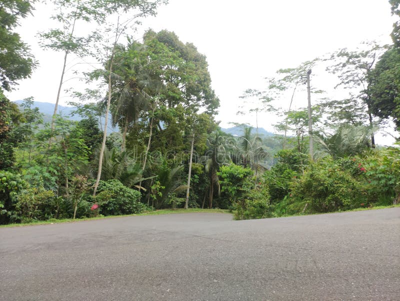 Junction Road and Natural Scenery of Sky Mountain Trees Stock Image ...