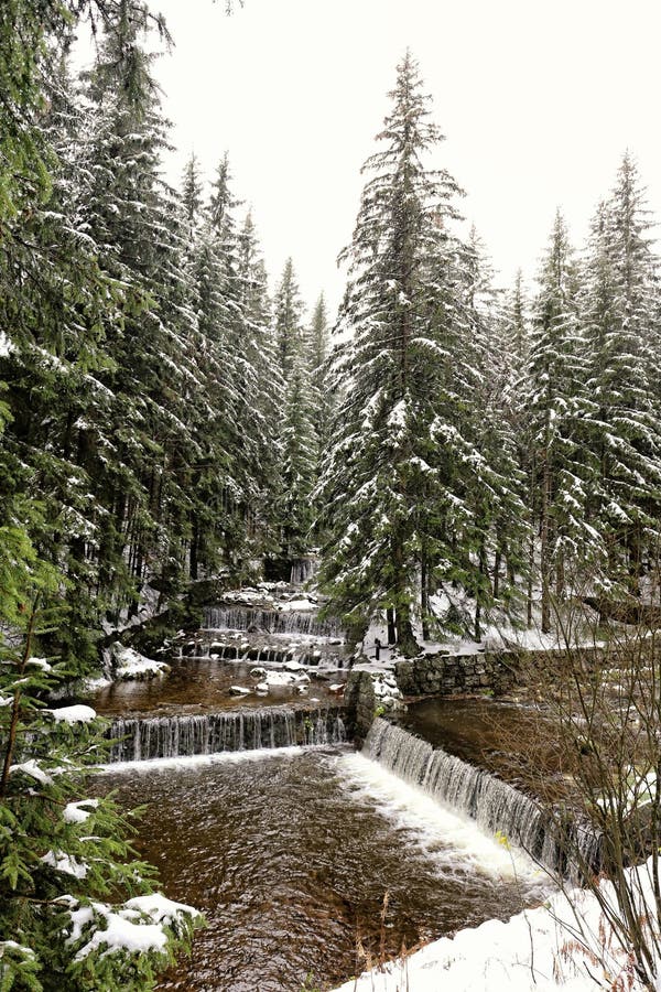 Junction of Two Mountain Rivers with Weir in the Winter with Light Snow ...