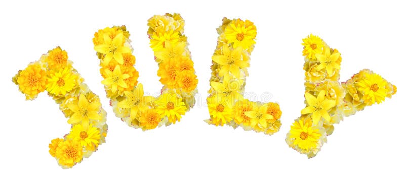 Juneg stock image. Image of floral, flowers, june, yellow - 319101033