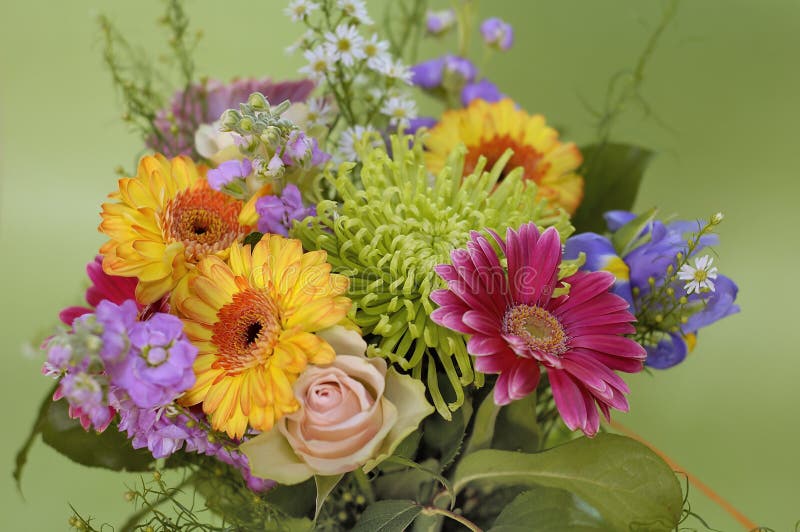 June bouquet of colors stock image. Image of bouquet, bunches - 2664593