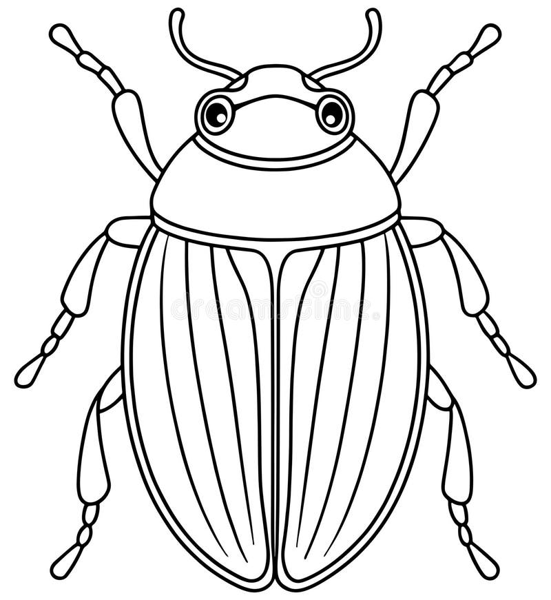 June Bug Stock Illustrations – 250 June Bug Stock Illustrations ...