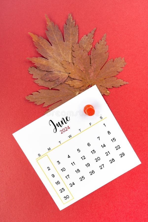 June 2024 Calendar Page and Autumn Maple Leaf with Thumbtack Stock ...