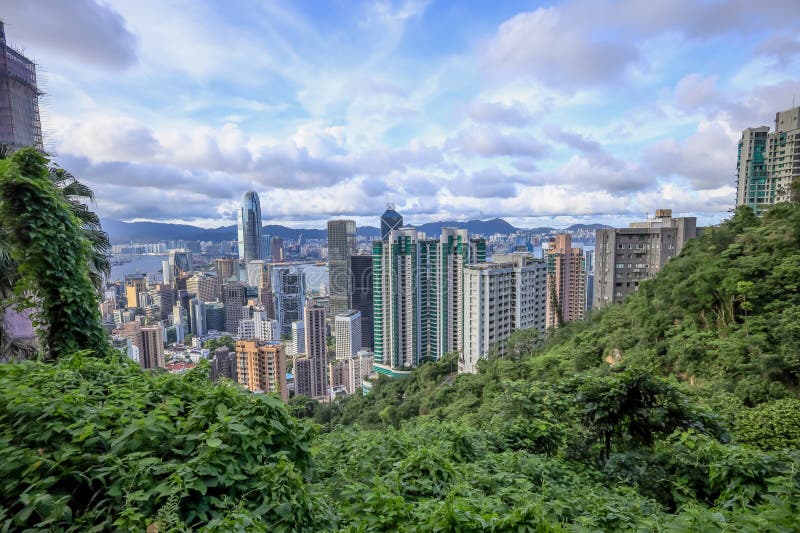 June 23 2024 a Location of the Central Green Trail Editorial ...