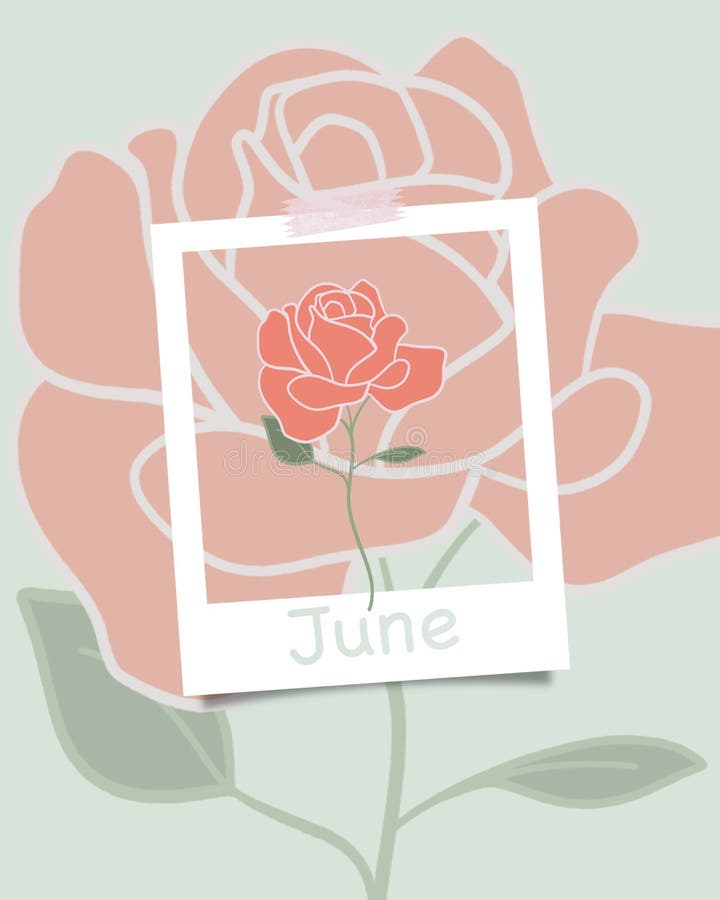 Minimalist Flat Floral Illustration of Red Rose. June Concept Theme ...