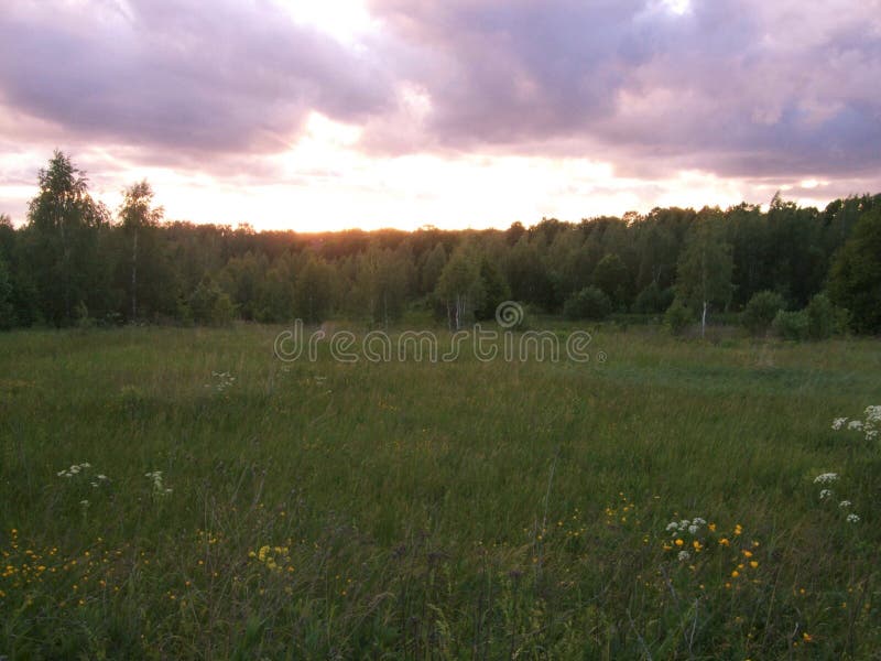 June Sunset Over the Forest and the Field. Stock Photo - Image of ...