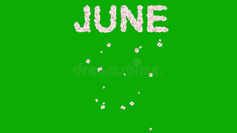 June Text with Cherry Flowers on Green Screen Background Stock Video ...