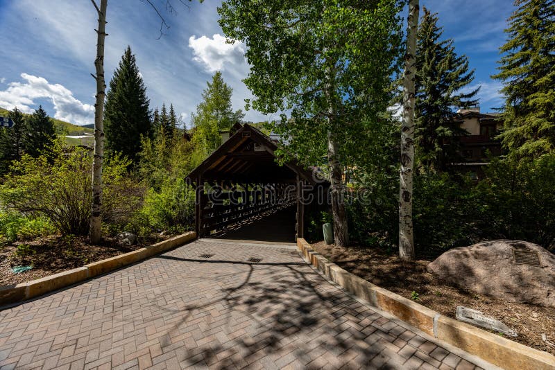 June 5th in Vail stock image. Image of flower, trail - 291241065