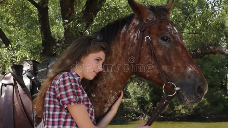 Junge Frau mit Pferd stock footage. Video von ruhe, kopf - 43105610 Junge Frau mit Pferd stock footage. Video von ruhe, kopf - 43105610