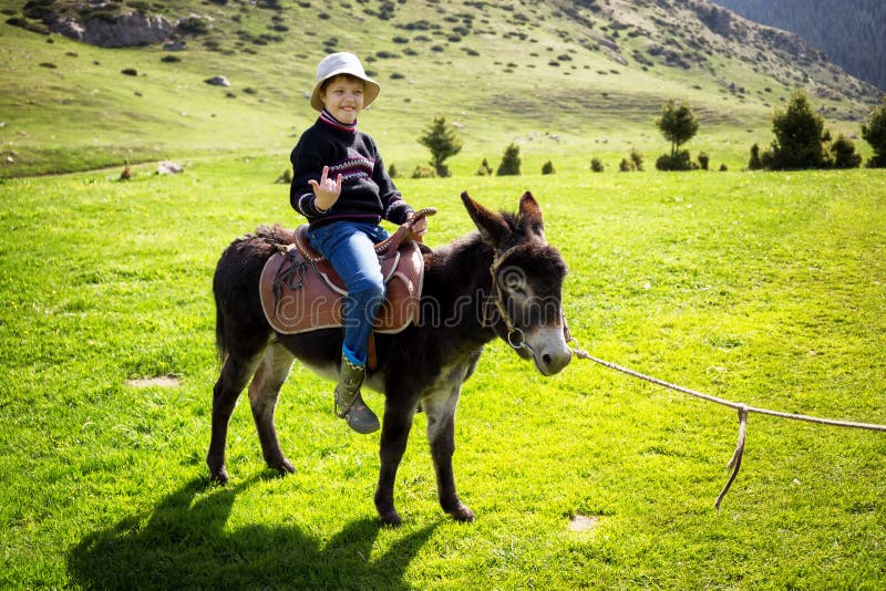Ein Jungenreiten Auf Dem Esel Der Steile Berg Oben Lindos-Akropolis ...