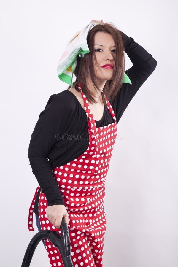 Junge schöne Hausfrau stockfoto. Bild von glücklich, exemplar - 24160430