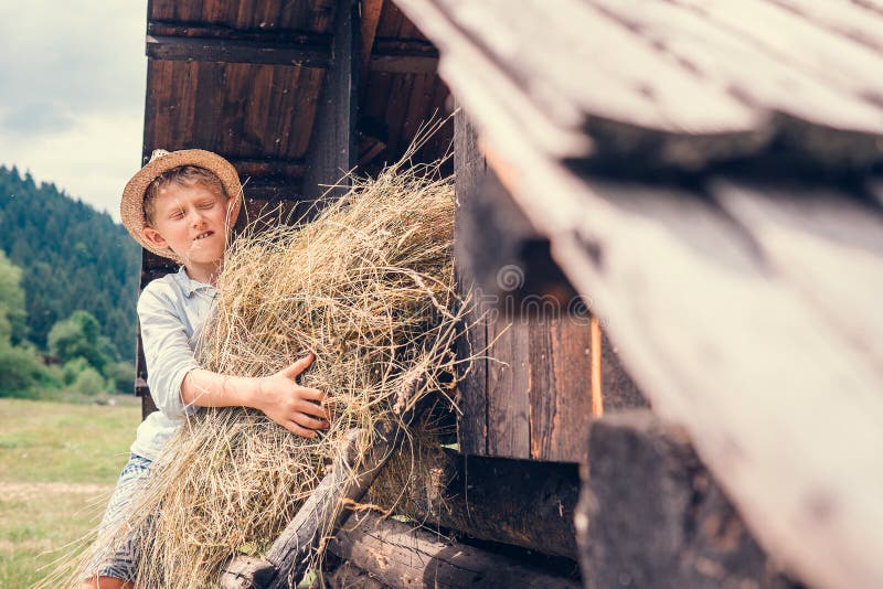 Junge Setzt Das Heu in Hayloft Ein Stockfoto - Bild von öko, aktiv ...