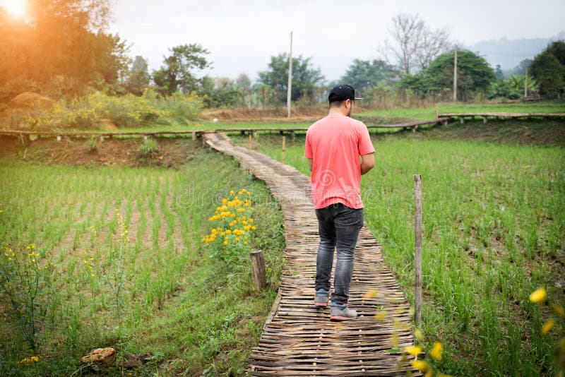 Mann Der Weg Geht Stock-Fotos - Laden Sie 17,560 Royalty-Free Fotos ...