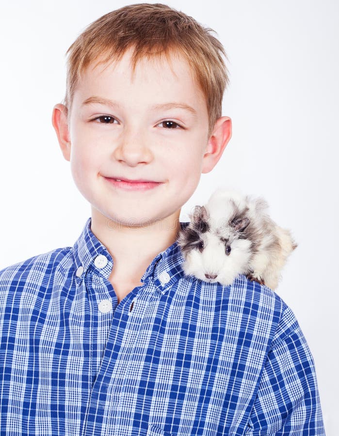Junger Junge Mit Meerschweinchen Stockfoto - Bild von tier, jungen ...