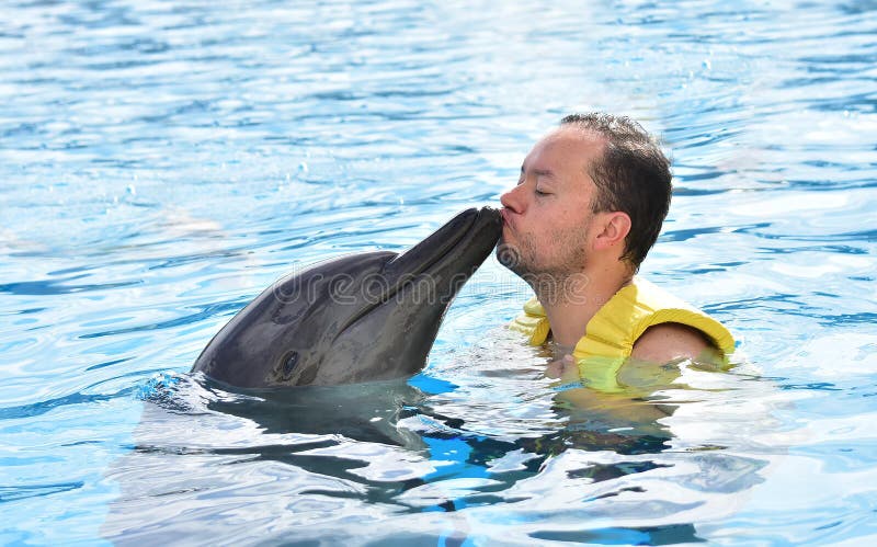 Delphin Im Pool. Leiter Und Das Gesicht Eines Dolphin-safe Stockfoto ...