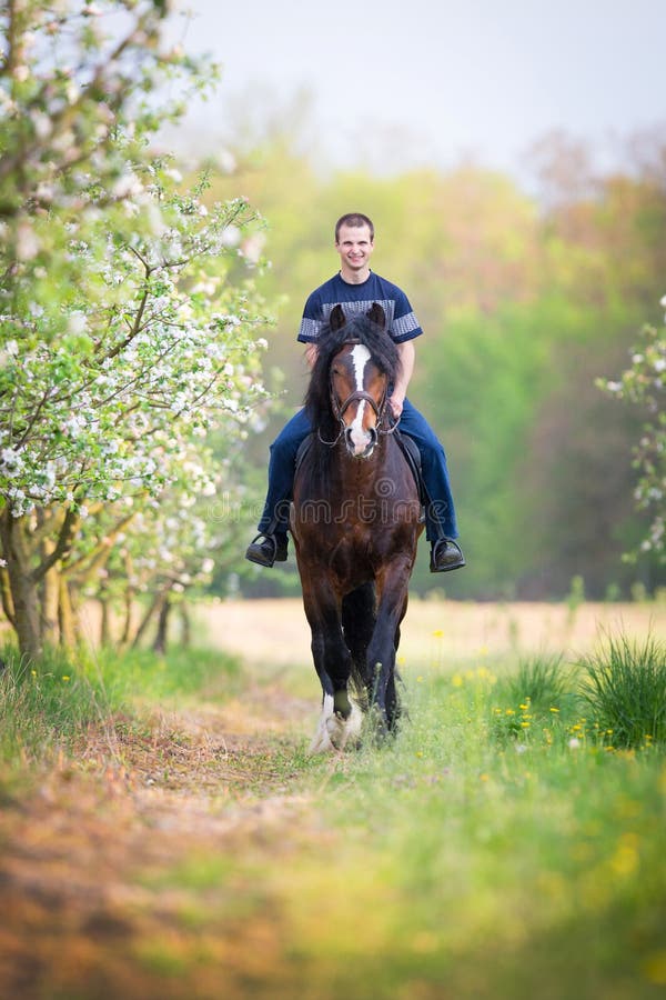 Junger Mann, Der Ein Pferd Bei Sonnenuntergang Auf Den Strand Reitet ...