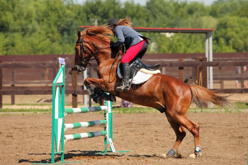 Langhaarige Blonde Reiterin, Die Ein Braunes Pferd Springt ...