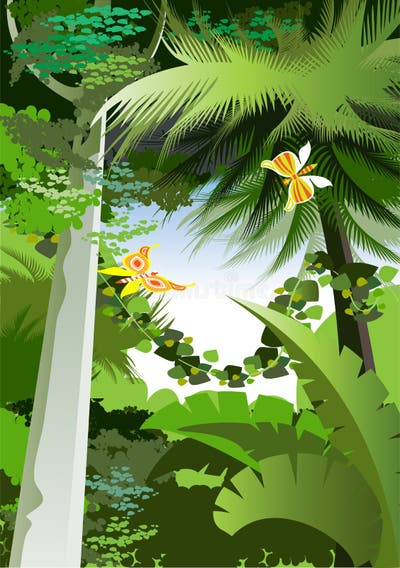 World Jungle Trees Stock Illustrations – 7,879 World Jungle Trees Stock ...