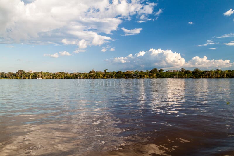 Amazon river stock photo. Image of cloudy, river, riverbank - 131789030