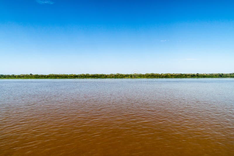 Amazon river stock photo. Image of rainforest, horizon - 131788976