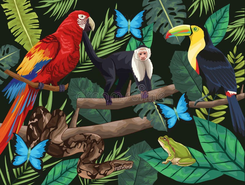 Jungle animals design stock vector. Illustration of design - 225623882