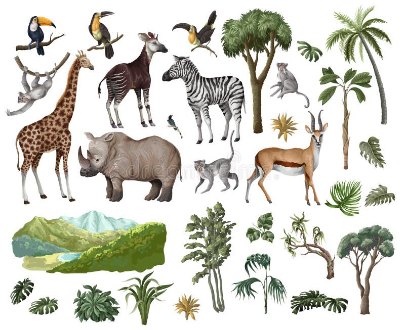 Jungle Animals and Trees Isolated. Palm Trees, Giraffe, Okapi, Zebra ...
