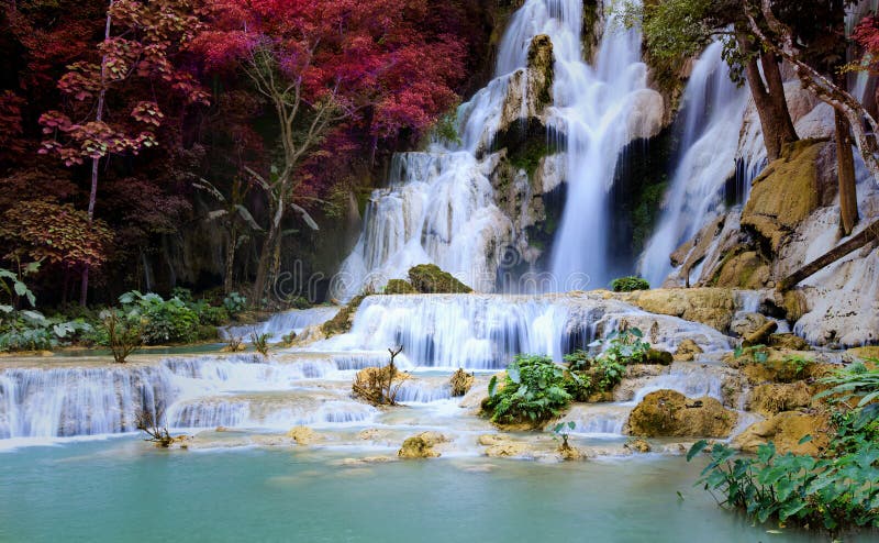 The Jungle with Atumn Trees Fall As a Waterfall-river-rocks-covered ...