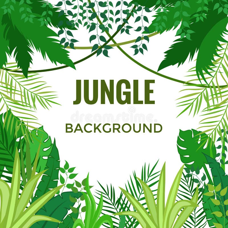 Jungle Background. Trees and Plants. Vector Illustration Stock ...