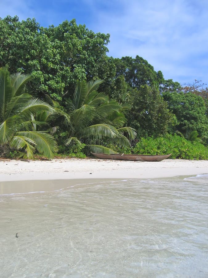 Jungle and blue sea stock image. Image of holiday, cloudscape - 3167303