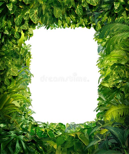 Jungle Border stock illustration. Illustration of fauna - 28938193