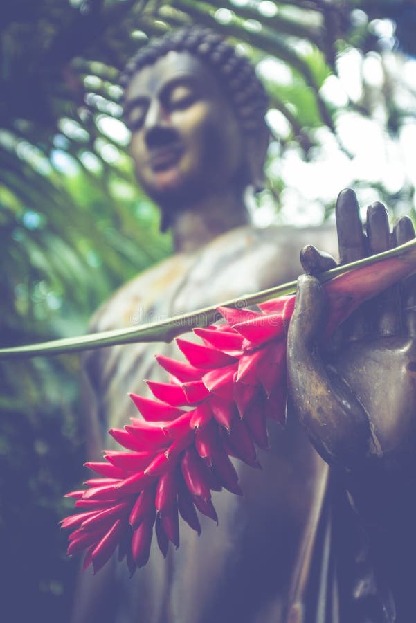 Jungle Buddha Statue with Flower Stock Image - Image of holy, buddhist ...