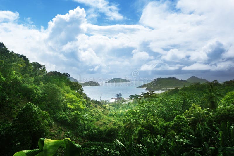 Lac Dans La Jungle Des Seychelles Image stock - Image du frais, herbe ...