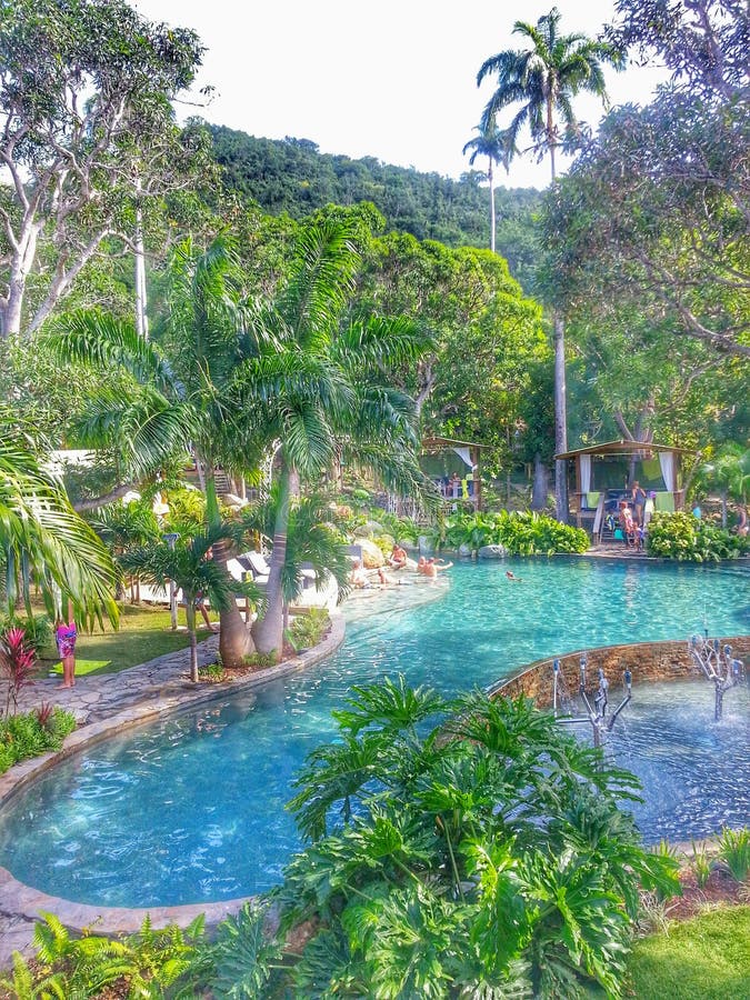 Jungle Day in the Caribbean Editorial Stock Photo - Image of jungle ...