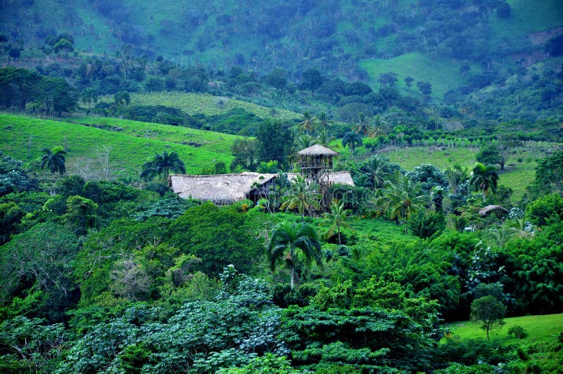Jungle at Dominican Republic Stock Photo - Image of dominicana ...