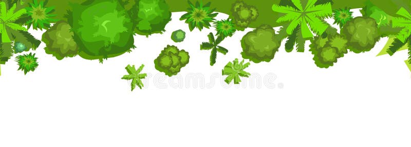 Jungle Forest Top View. Trees and Shrubs. Horizontal Seamless ...