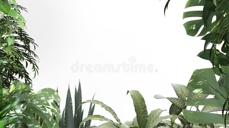 Jungle Frame, Biophilic Concept Idea. Tropical Leaves Isolated on White ...