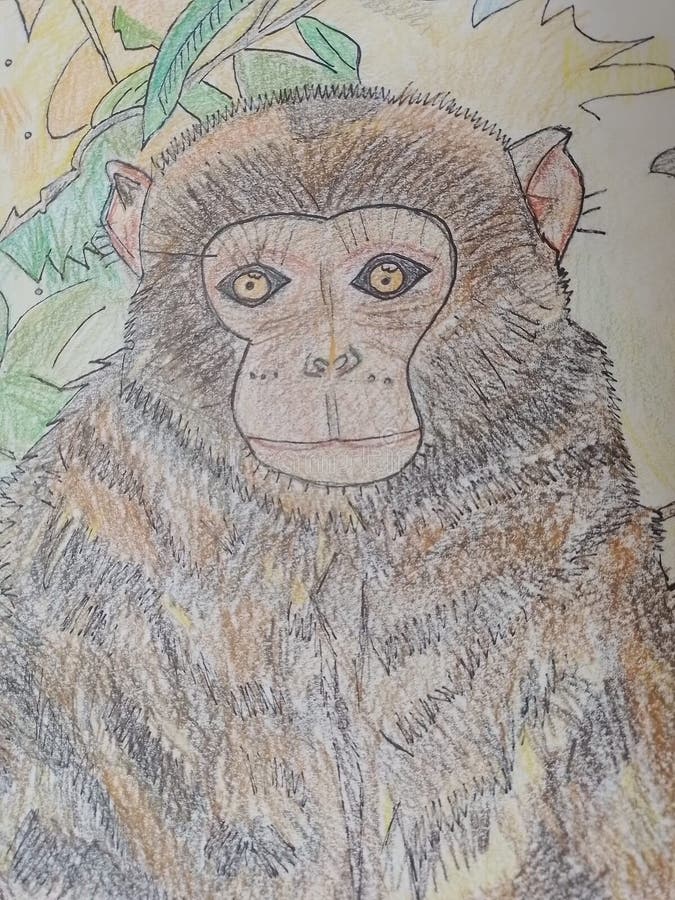 Jungle Gaze: a Thoughtful Monkey Stock Illustration - Illustration of ...