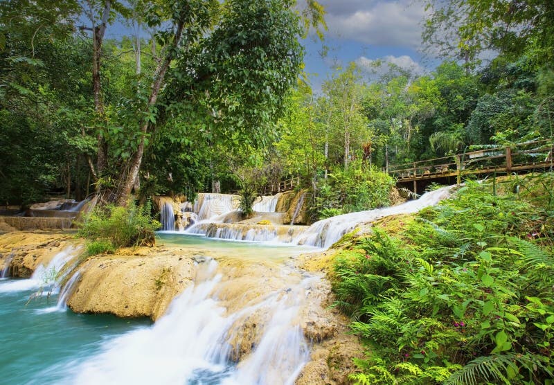 The Jungle with Green Ecology a Waterfall-River-rocks-covered-with ...