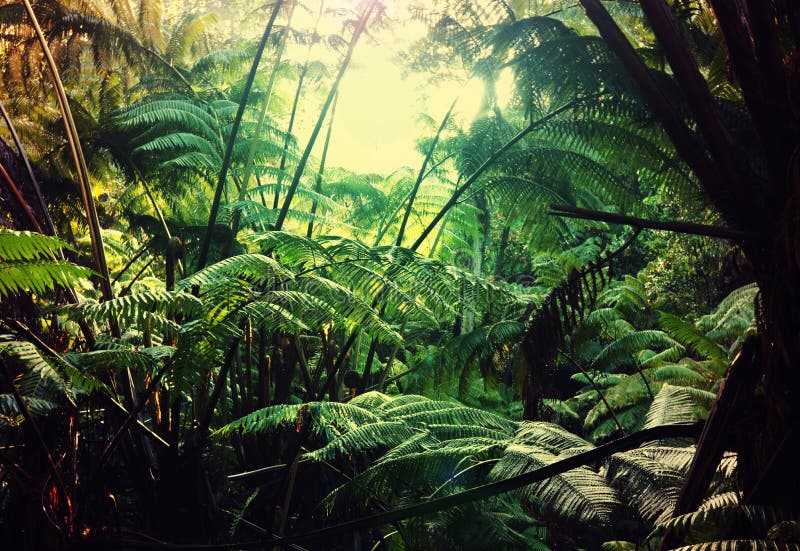 Grand Canyon stock photo. Image of colorado, arizona - 30242902