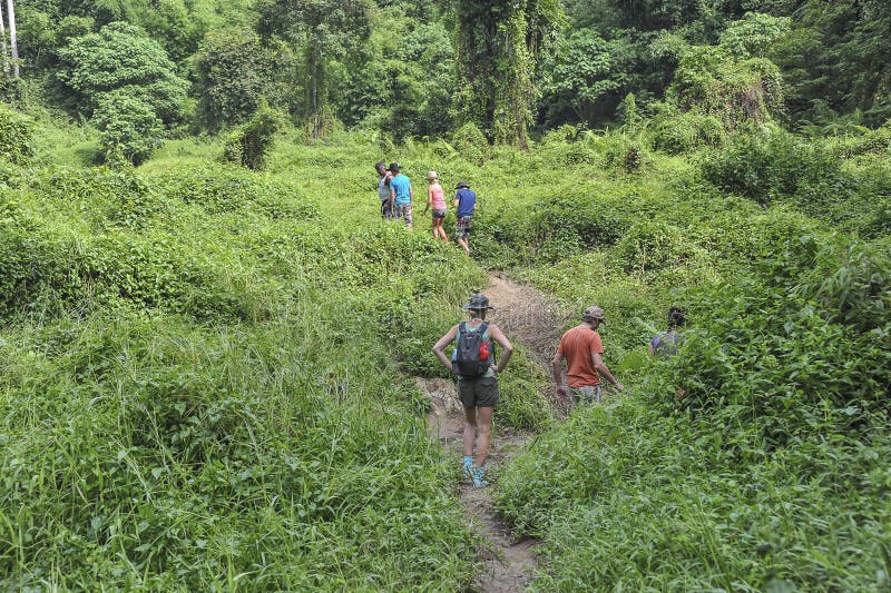 Tourists Hiking in the Deep Jungle of the Khao Yai National Park in ...