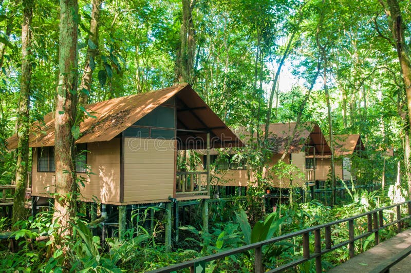 Jungle huts stock photo. Image of thick, green, trees - 43978382