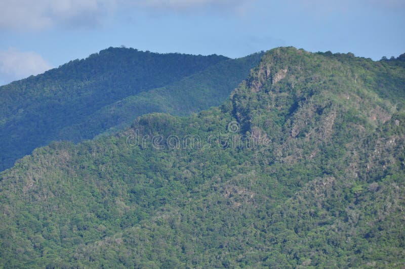 The Jungle in Indonesia. Java Stock Image - Image of jungle, shark ...